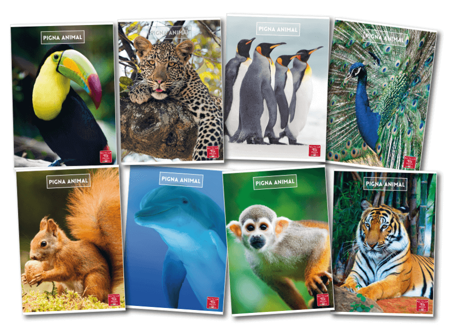 zeszyty włoskie Pigna teczki segregatory